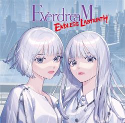 ENDLESS LABYRINTH / EverdreaM | XNHI-0002 - VGMdb