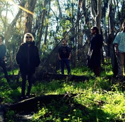 Live in Studio - VGMdb