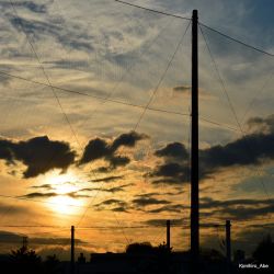 The sun rises again - VGMdb