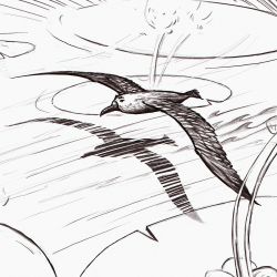 Bird Game (Original Soundtrack) - VGMdb