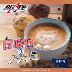 Nichiyoubi no Noraneko / Hime Hashimura | ANTCD-A0000008476 - VGMdb