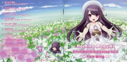 KParaMUSIC Collection Vol.1 ~Pure Wing~ / Megumi Hoshina | HMAL-0001 - VGMdb
