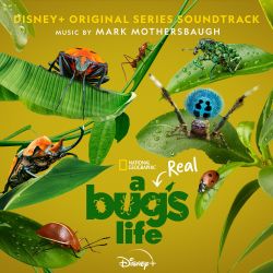 A Real Bug's Life: Disney+ Original Series Soundtrack | D004436125 - VGMdb